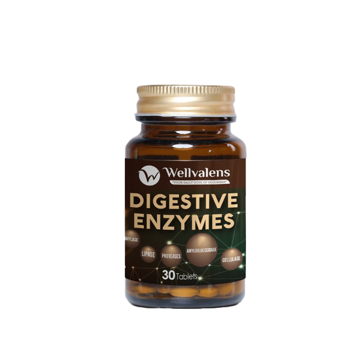 Digestive Enzymes - Wellvalens